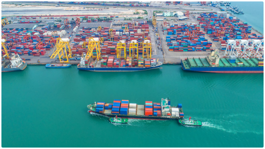 Vietnam Cashew Export Procedures (Updated 2025)